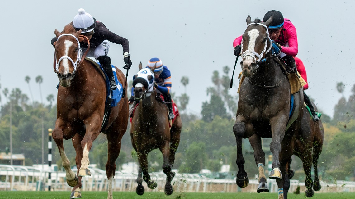 Horse racing's anti-doping program begins Monday | whas11.com