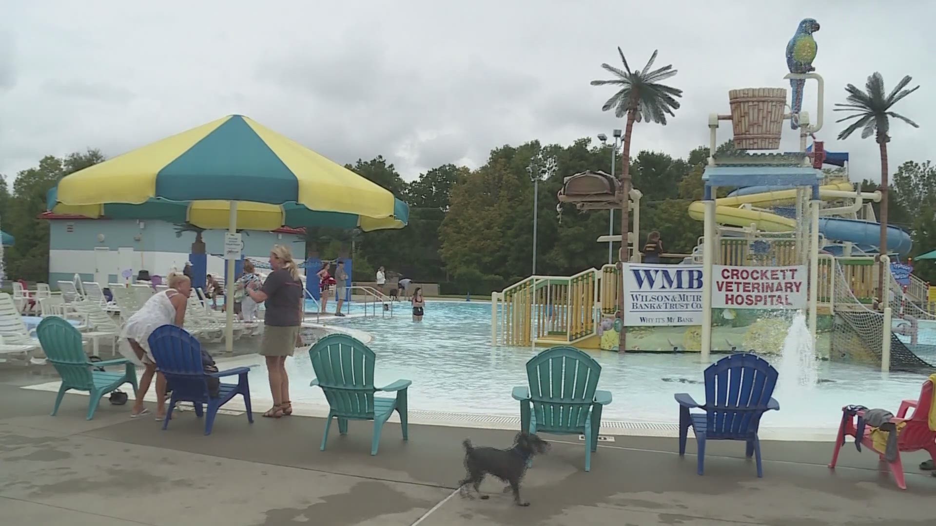 Dogs treated to 'pool day' while raising awareness for various causes ...