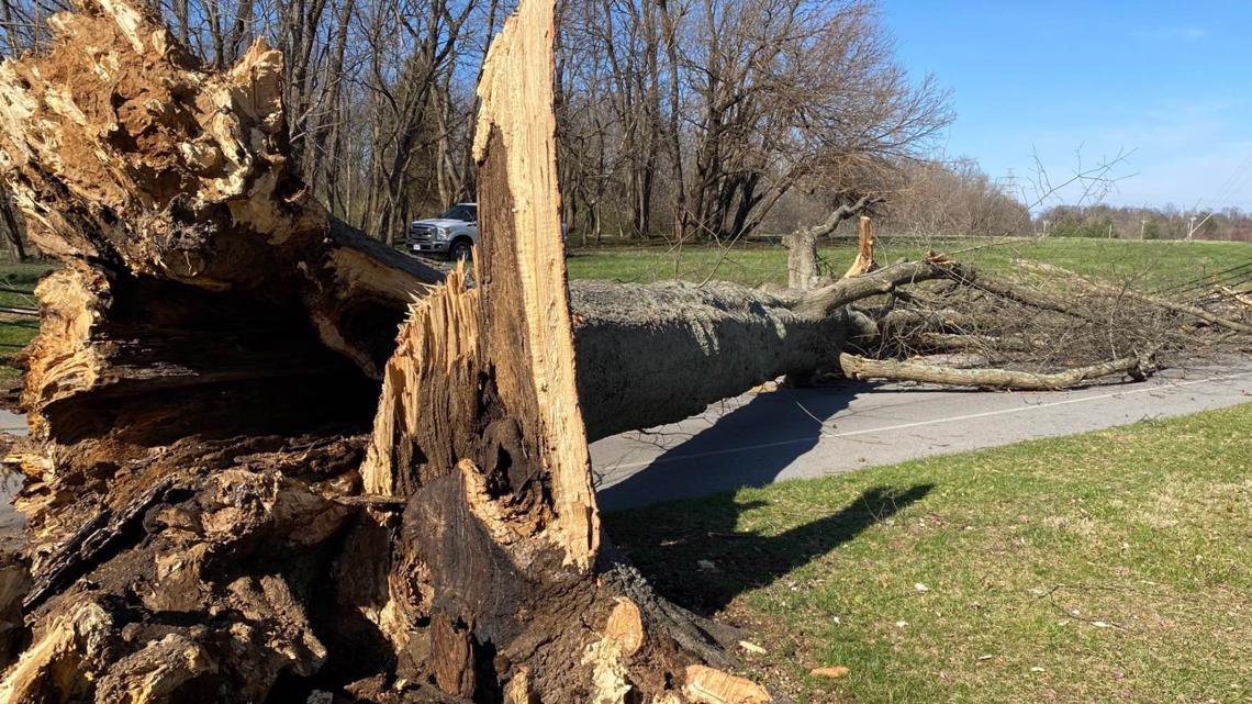 Drop-off sites announced for storm debris in Jefferson County | whas11.com