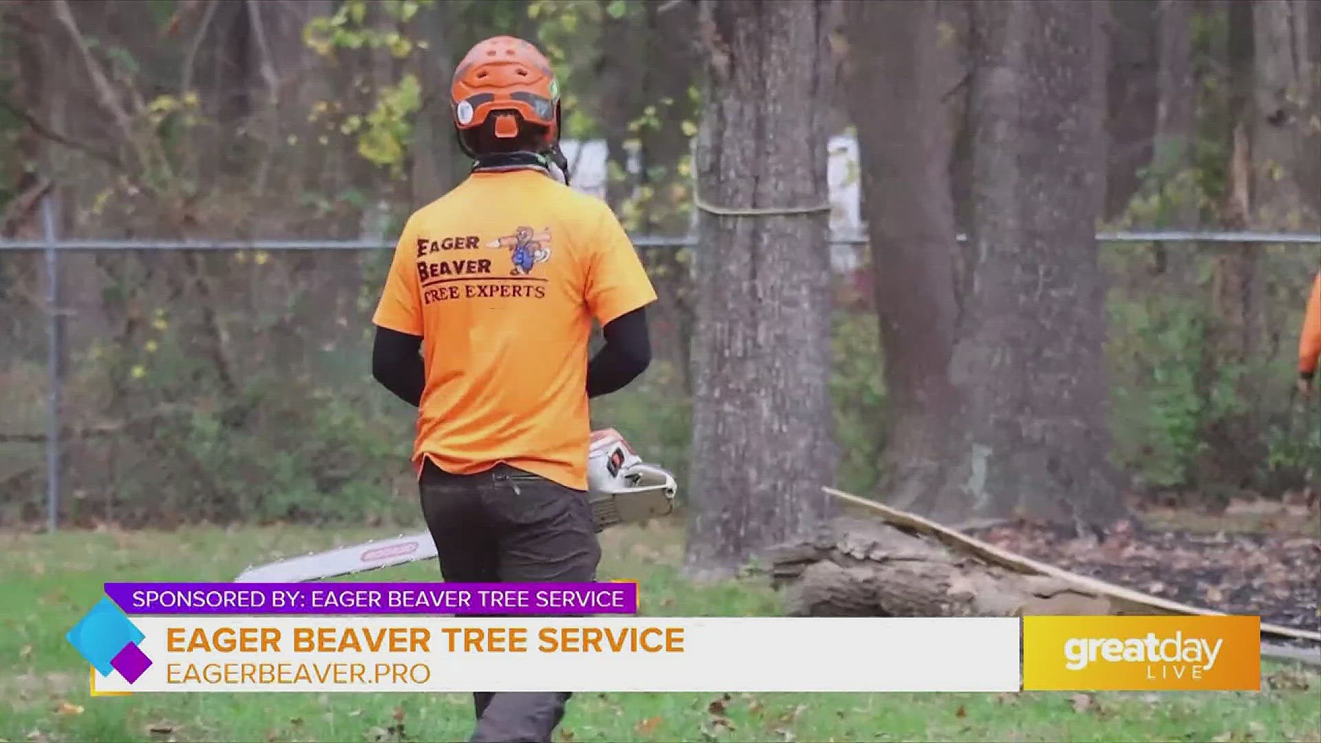 GDL: How Eager Beaver Tree Service Supports the IU Hoosiers | whas11.com