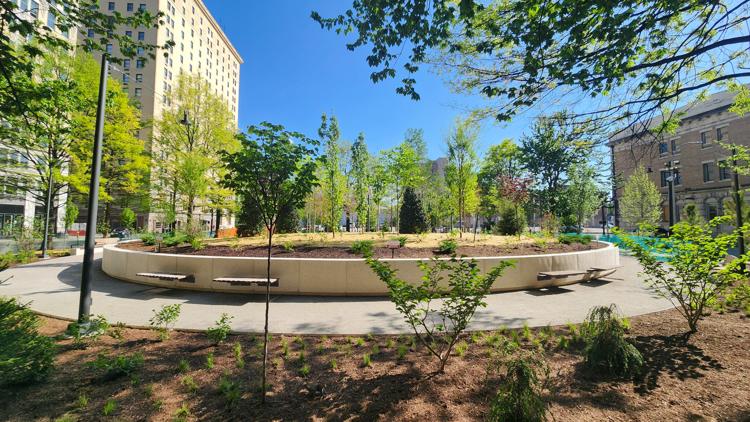 New microforest in downtown Louisville opens to the public | whas11.com