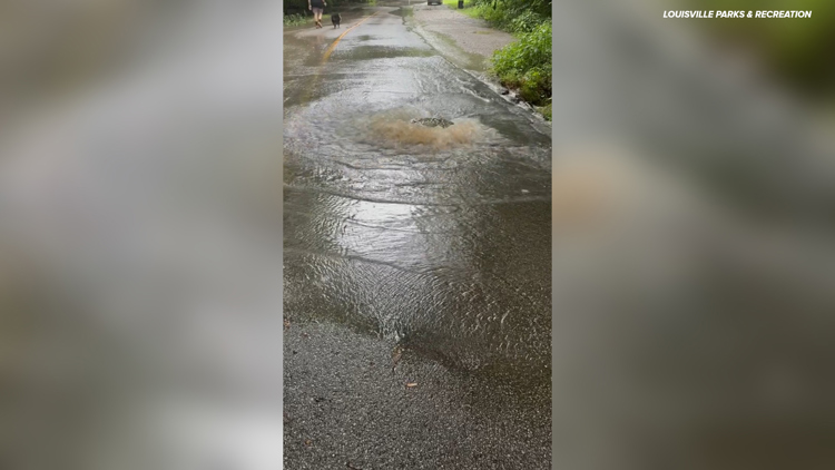 Cherokee Park closes roads after storm water backs up through manholes ...
