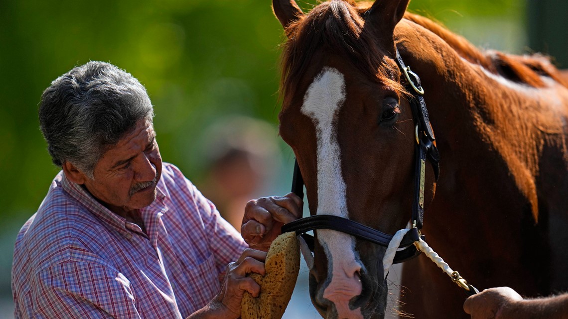 Mage faces a tough challenge in Preakness | whas11.com