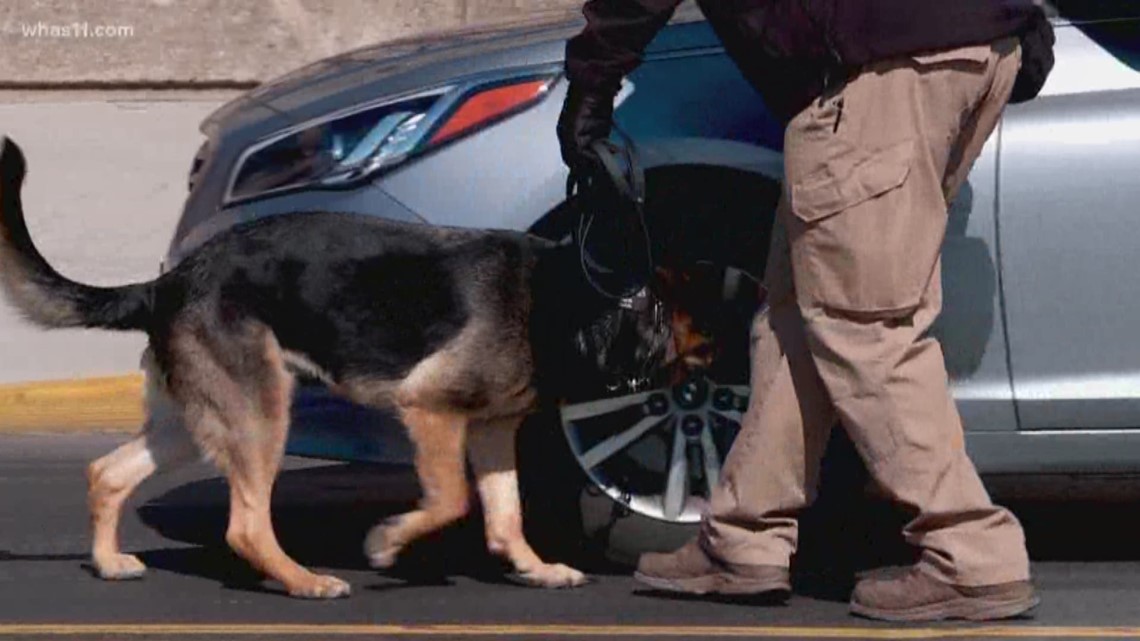 Kentucky K-9 officers train to identify explosives | whas11.com