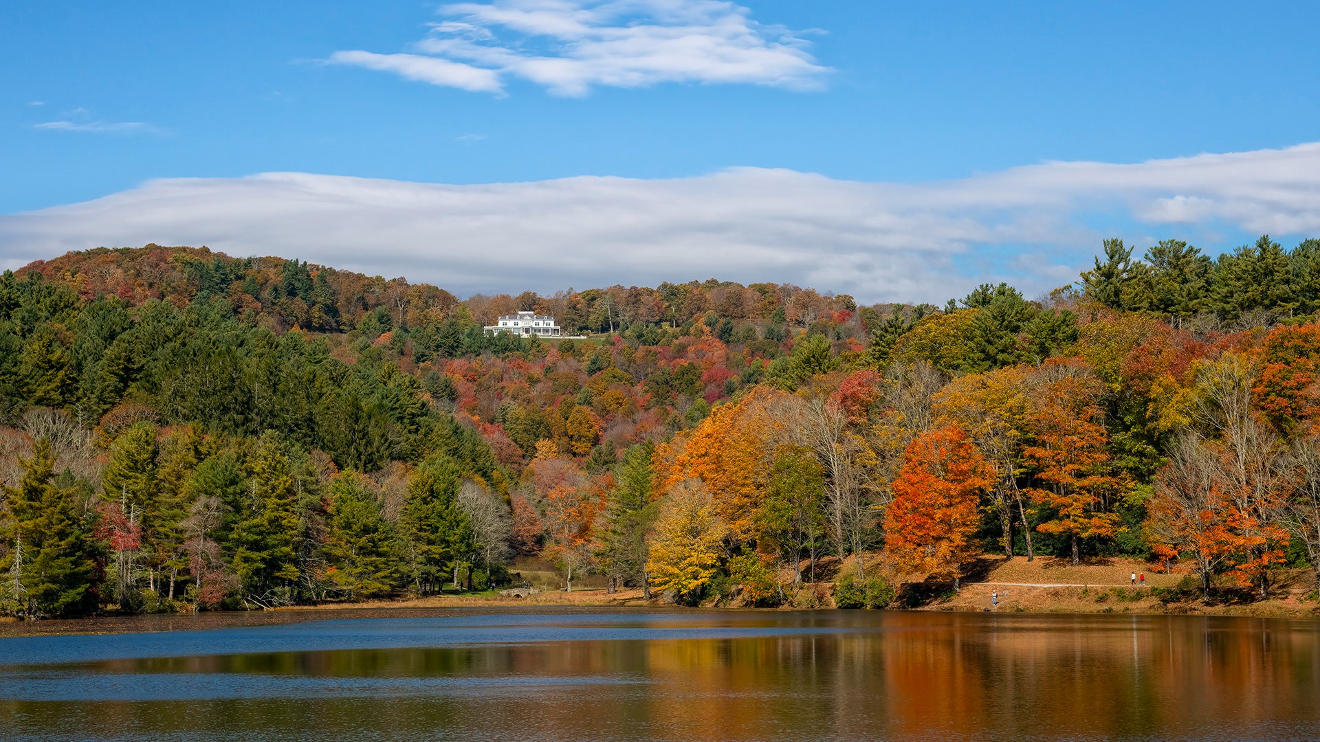 PHOTOS | 2021 Fall colors in Grandfather Mountain | whas11.com