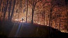 Dozens of wildfires rage in eastern Kentucky; Burn bans in effect ...