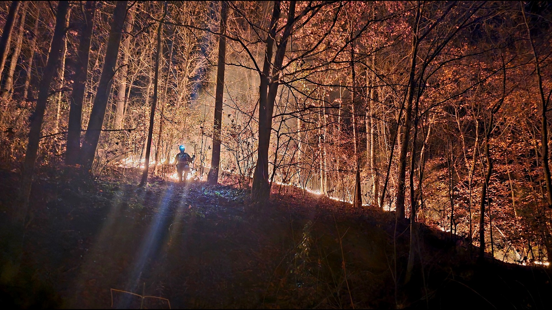 PHOTOS: Wildfires burn across eastern Kentucky | whas11.com