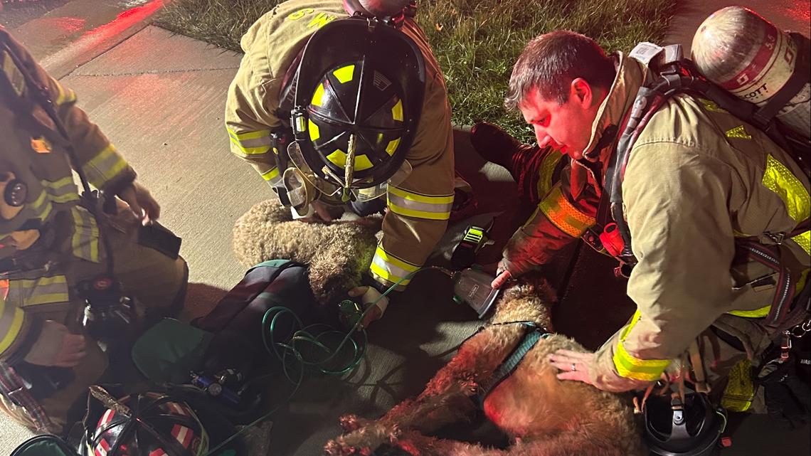 Anchorage Middletown Fire rescue family and pets in two story housefire ...