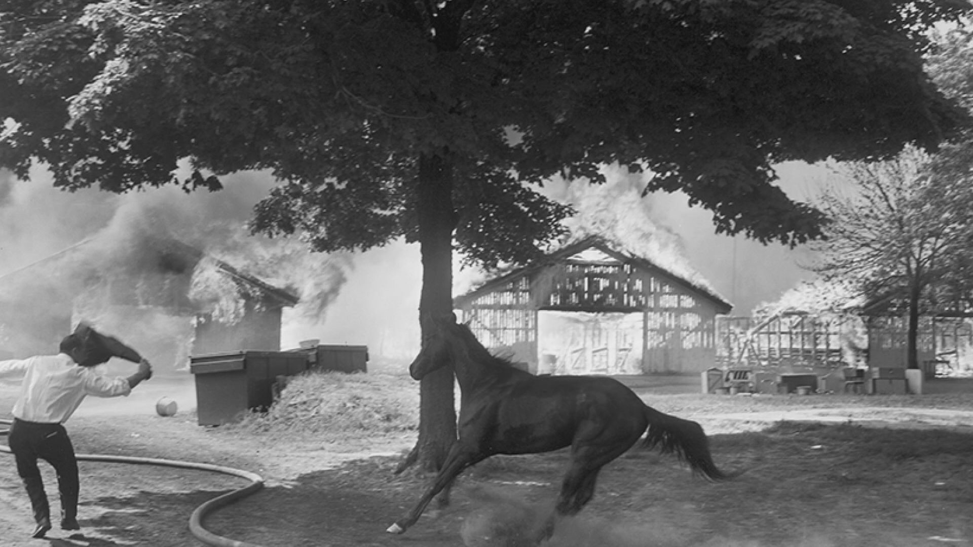 The history behind West Louisville's racetrack, Miles Park | whas11.com