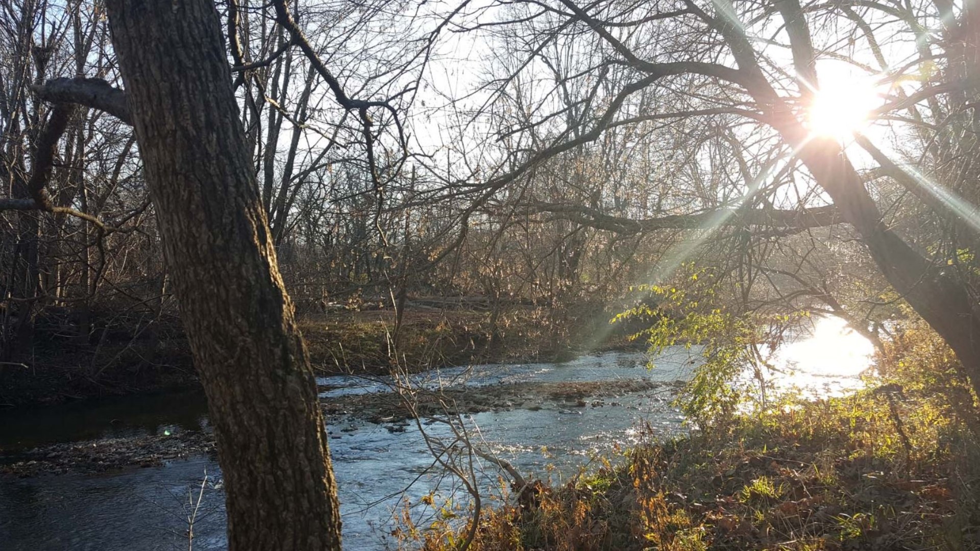The Parkland of Floyds Fork announces massive expansion project ...