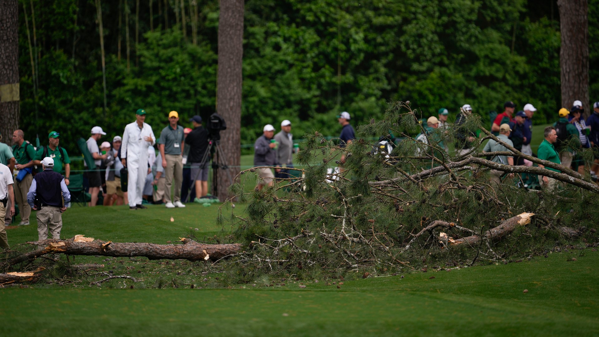 PHOTOS | Tree falls at Masters Tournament in Georgia | whas11.com