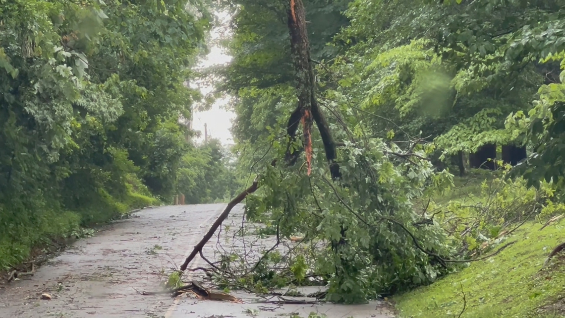 Downed trees seen across Anchorage in east Louisville after strong ...