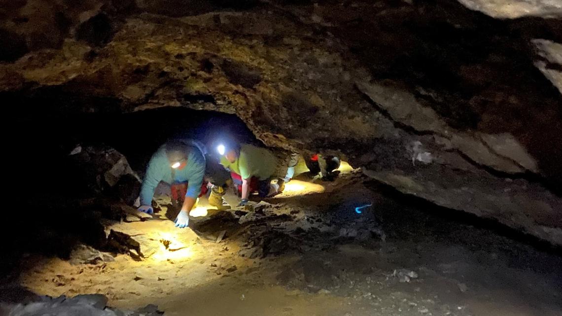 New ancient shark species discovered in Mammoth Cave National Park | whas11.com