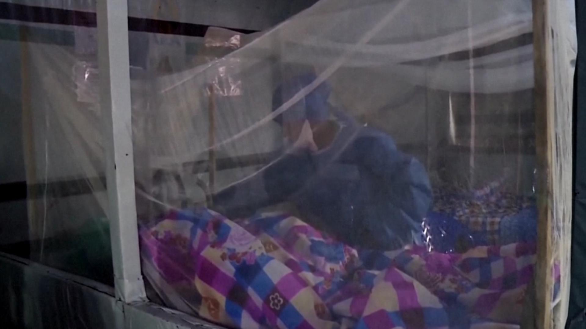 2 possible Ebola cases in Brazil; doctors warn of rapid spread | whas11.com