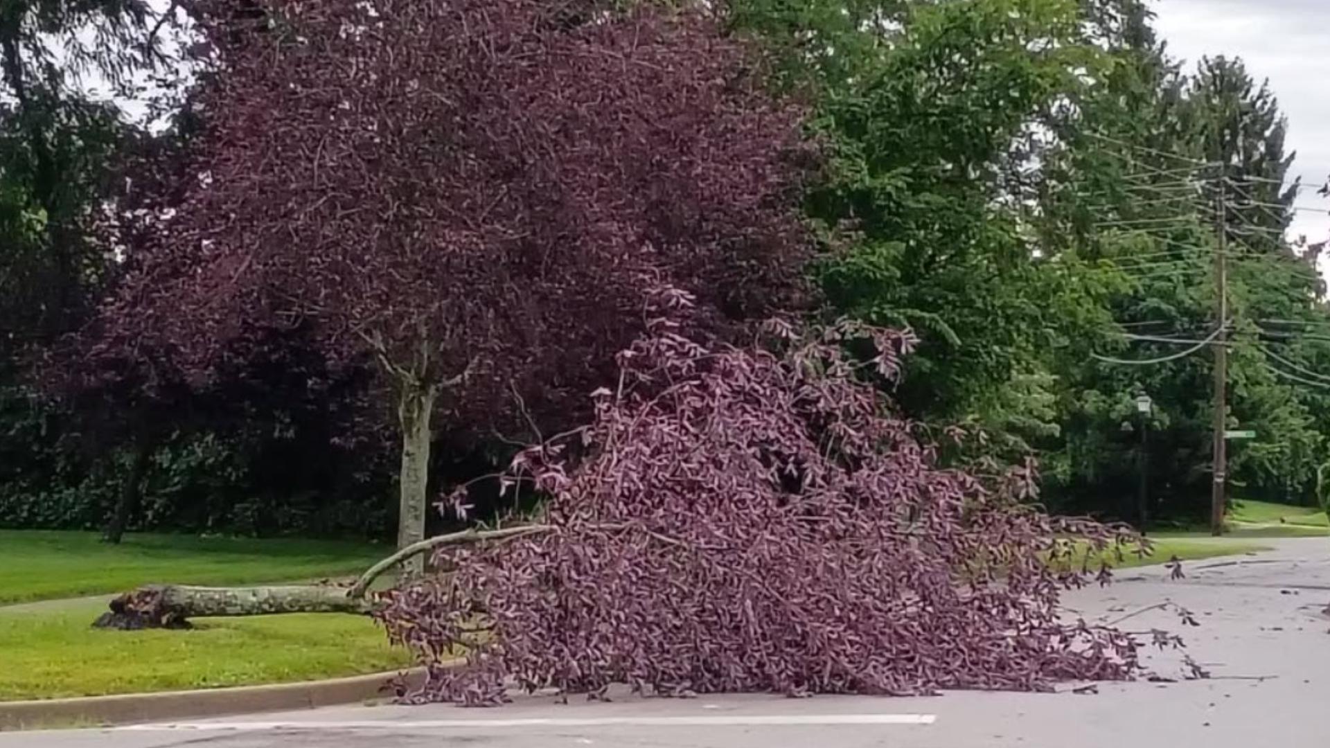 PHOTOS: Severe storm rips through southern Indiana and central Kentucky ...