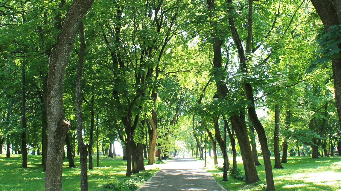 Louisville conservancy breaks ground on Elliott Park restoration ...