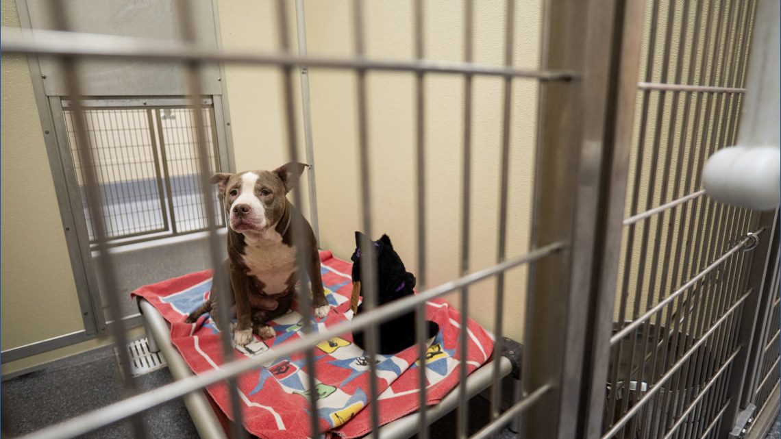 Crash shuts down part of southern Indiana interstate | whas11.com