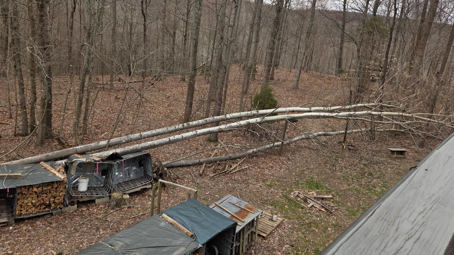 NWS Louisville surveys storm damage in parts of Kentucky | whas11.com