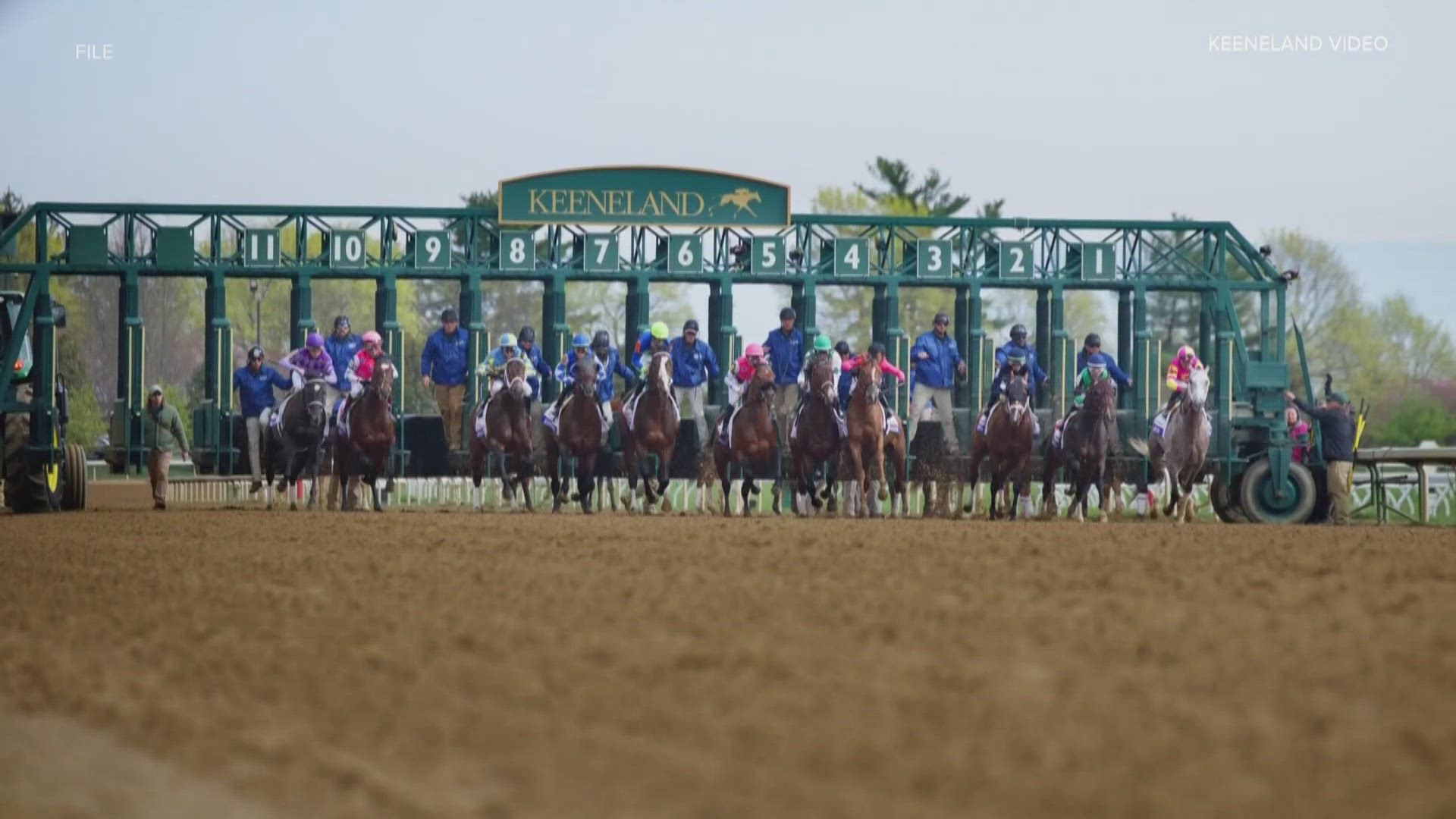Mystik Dan wins Blame Stakes, ends five-race losing streak | whas11.com