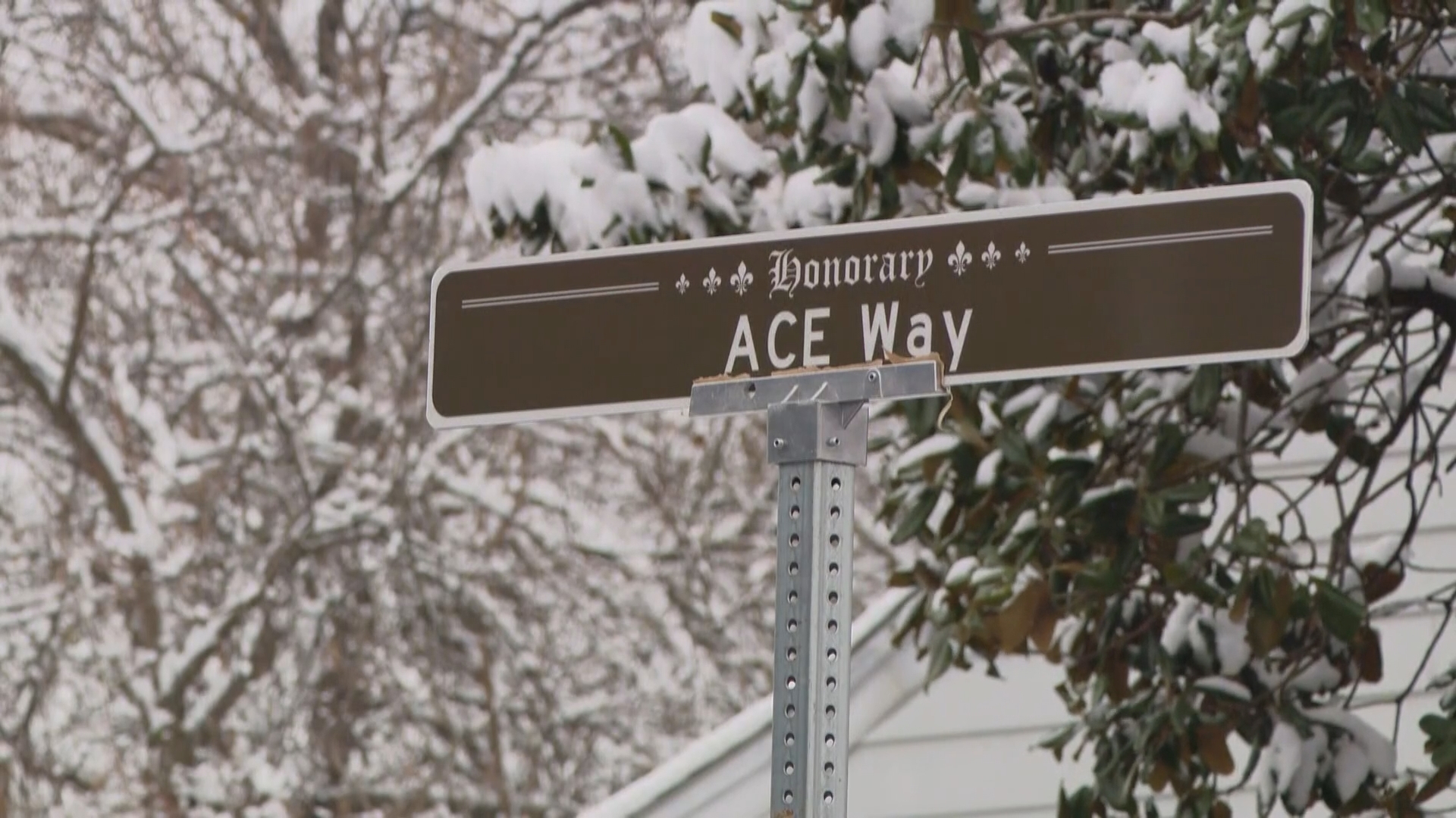 ACE Project unveils honorary street sign in Louisville | whas11.com