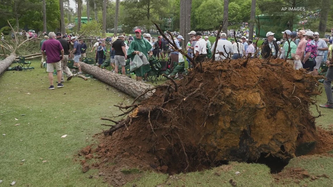 Giant pine tree falls onto crowds at the Masters | whas11.com