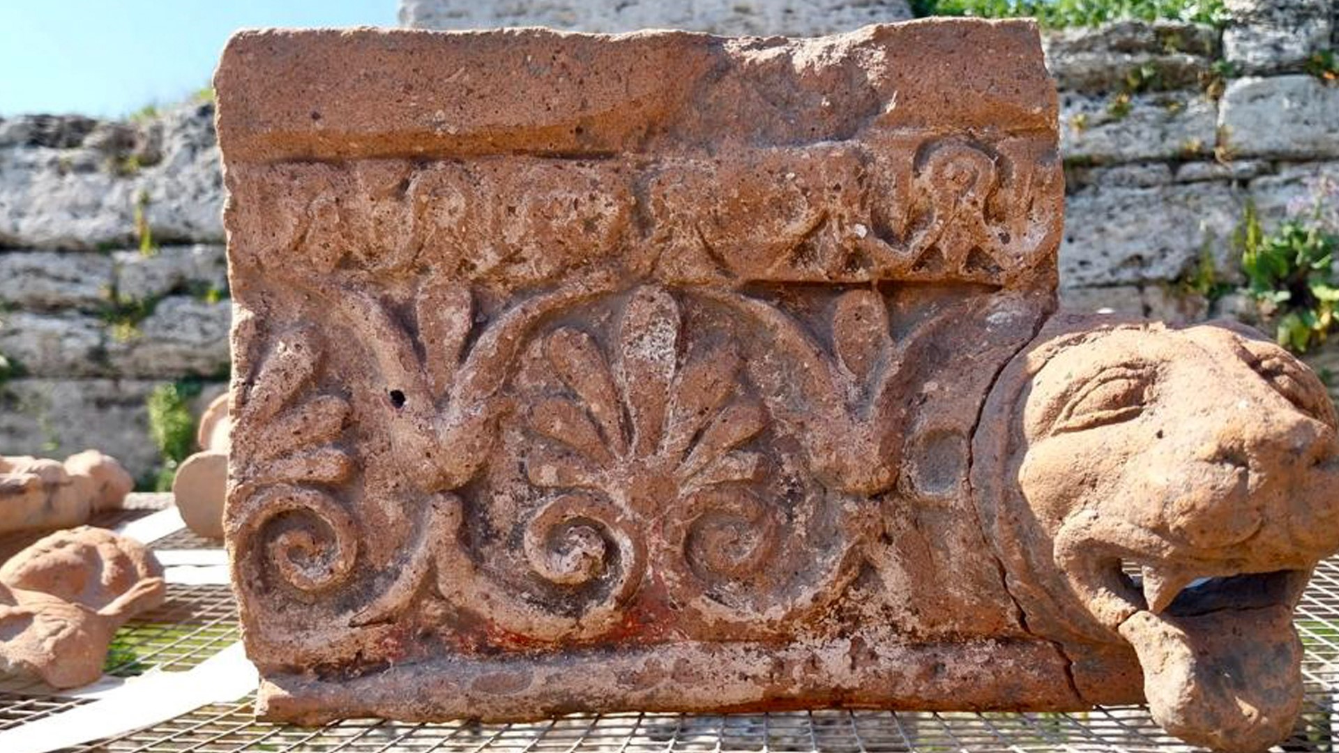 Ancient dolphin statuette unearthed in Italy | whas11.com