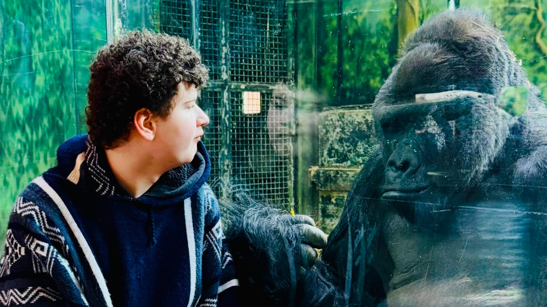 Three families, one year: Why Louisville parents are sending children ...