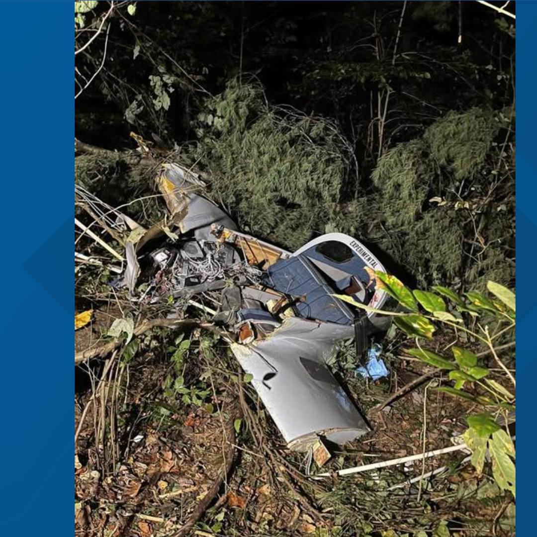 Pilot survives Indiana plane crash in dense woods | whas11.com