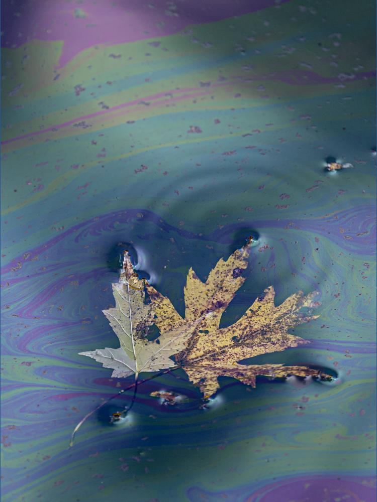 EPA: More than 286,000 gallons of oil mixed with water removed from ...