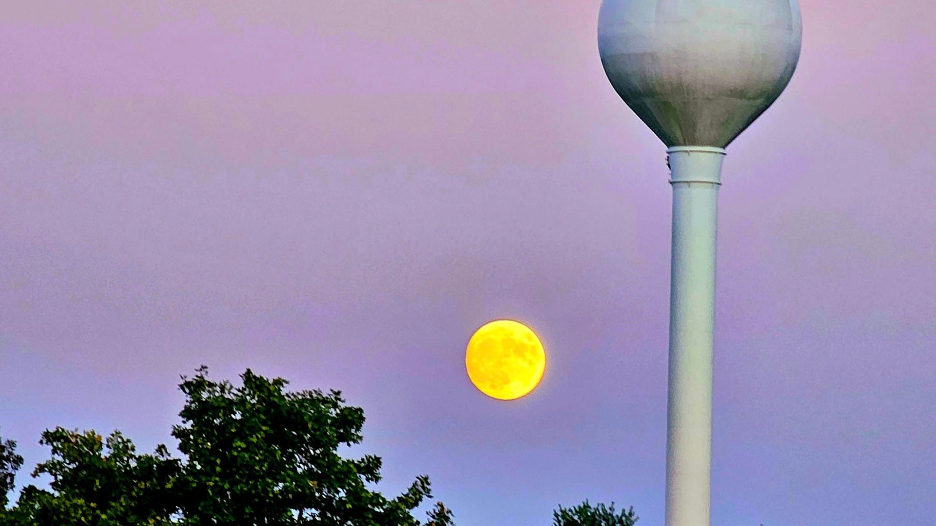 Super Blue Moon seen over Kentucky, southern Indiana | PHOTOS | whas11.com