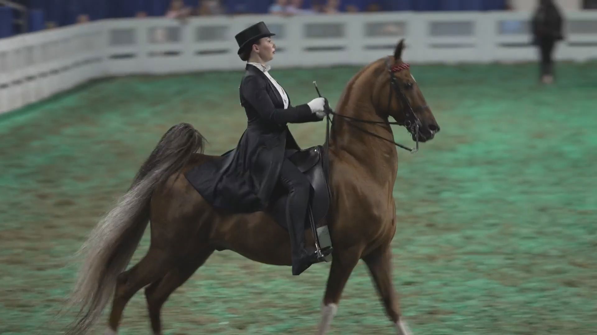 Critics unsure if ESC can handle World's Championship Horse Show ...