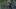 Turkey hunting season opens soon in Kentucky with 'strong population ...