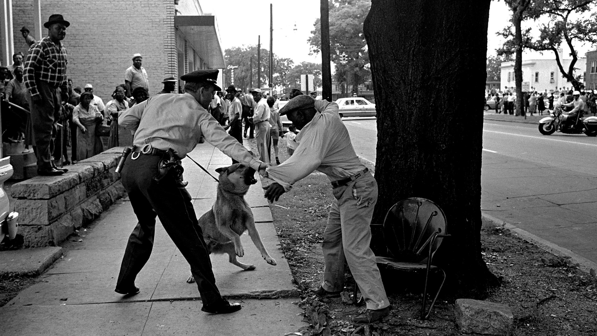 Ohio town dealing with aftermath of police K-9 attack | whas11.com