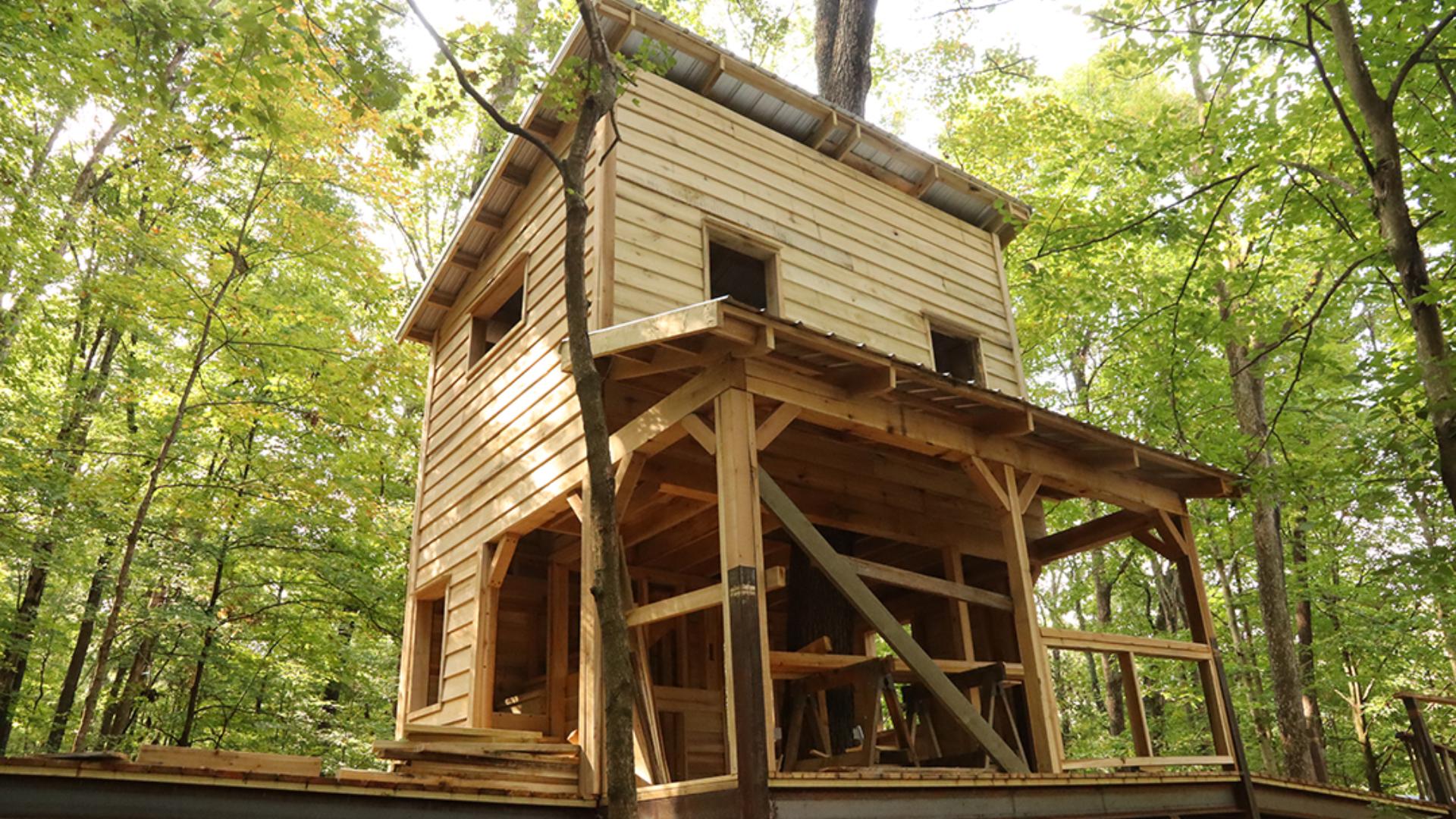Kentucky's Bernheim Forest unveils wheelchair accessible treehouse ...