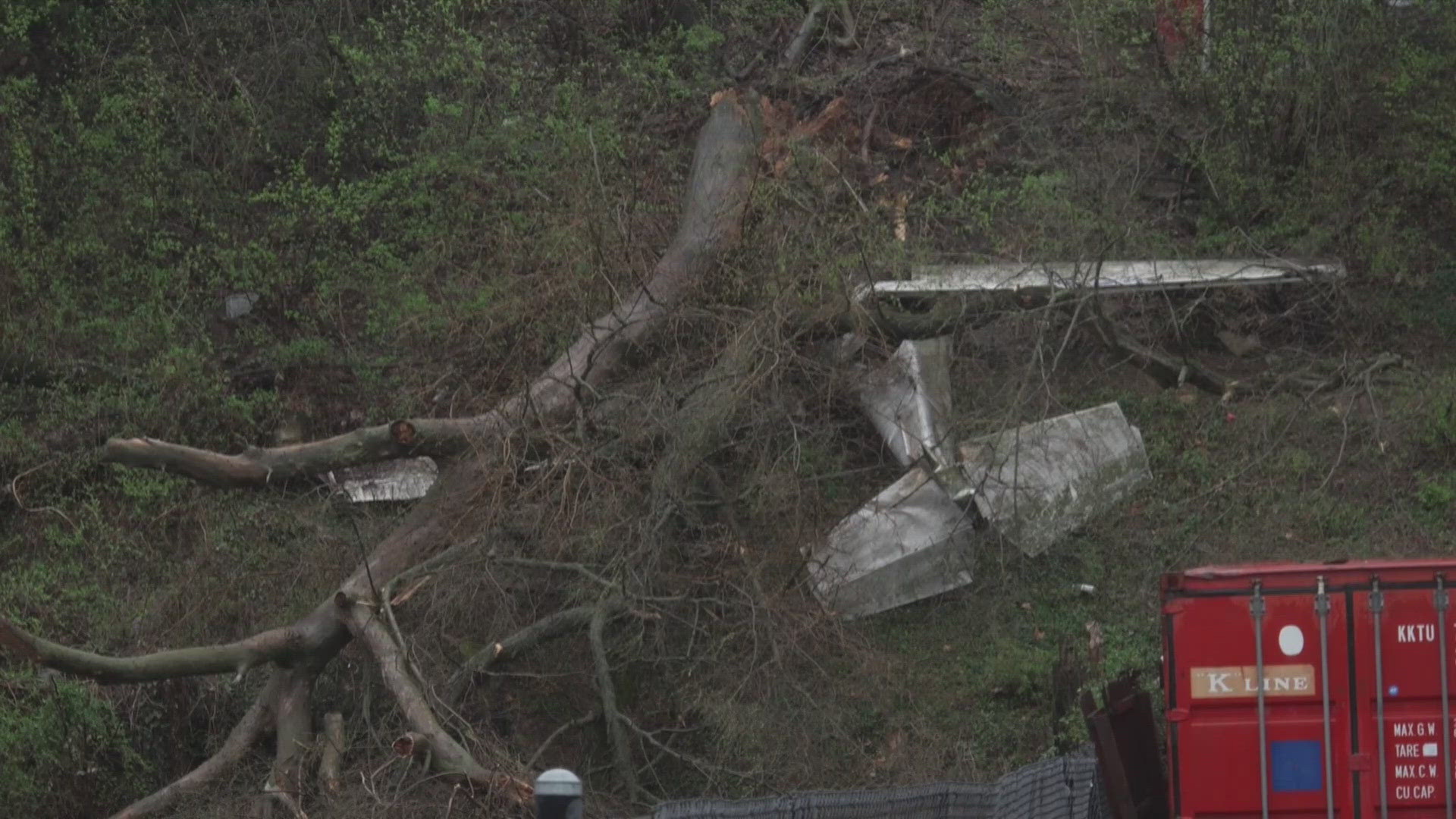 Wind knocks tree onto iconic Headliners airplane | whas11.com