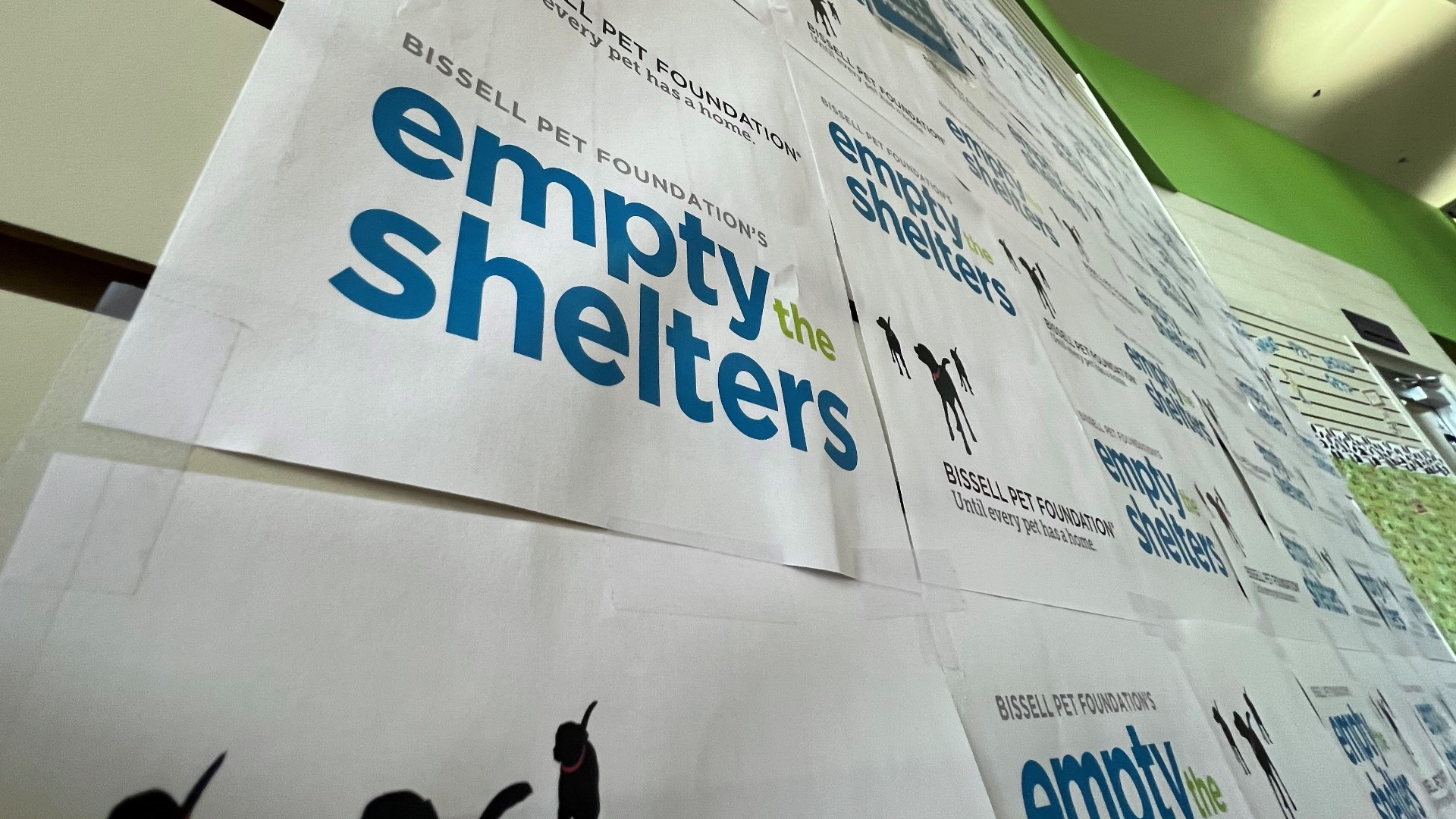 Louisville Metro Animal Shelter close to losing 'no-kill' status ...