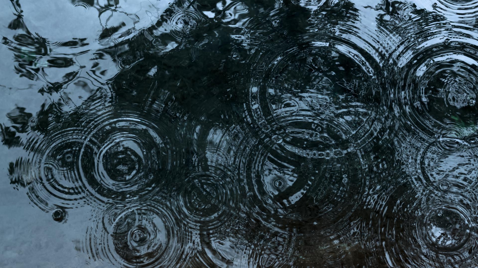 LIVE: Kentucky weather radar tracking heavy rain | whas11.com