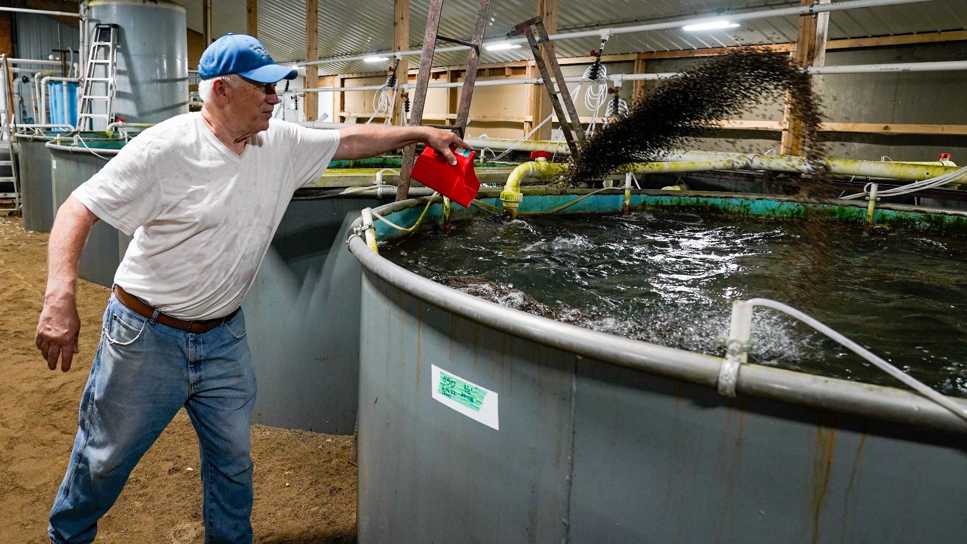 Midwestern farms struggling to market fish | whas11.com
