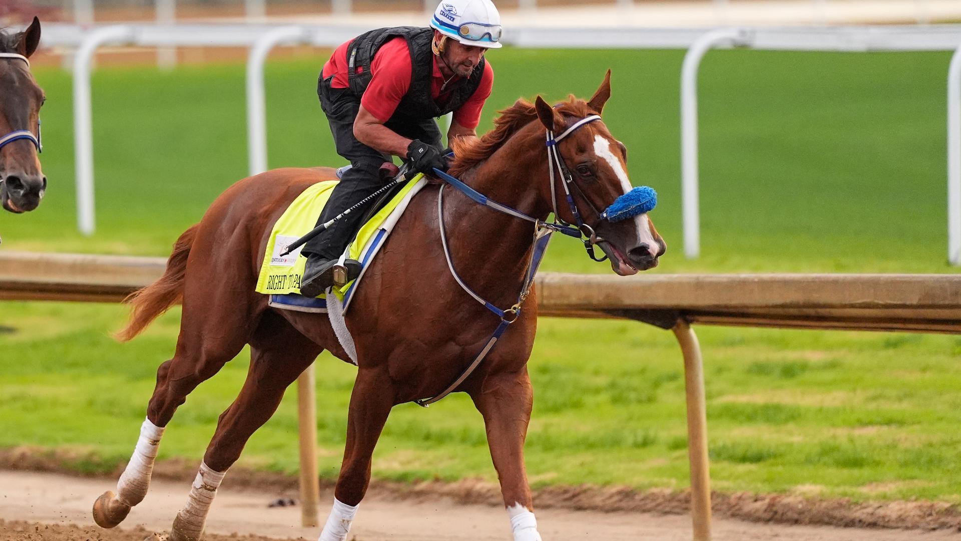 Kentucky Derby 2026: Updated odds for Run for the Roses | whas11.com