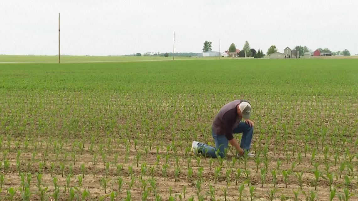 Indiana farmer faces challenges amid Trump tariffs | whas11.com