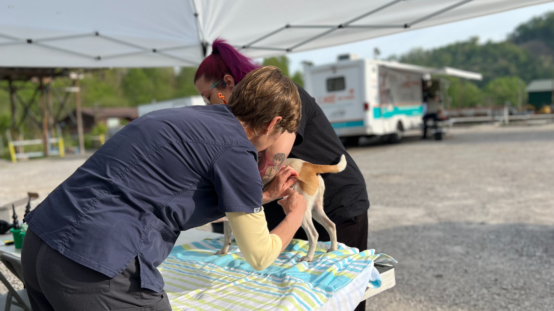 PHOTOS | KHS staff help eastern Kentucky animal shelters | whas11.com