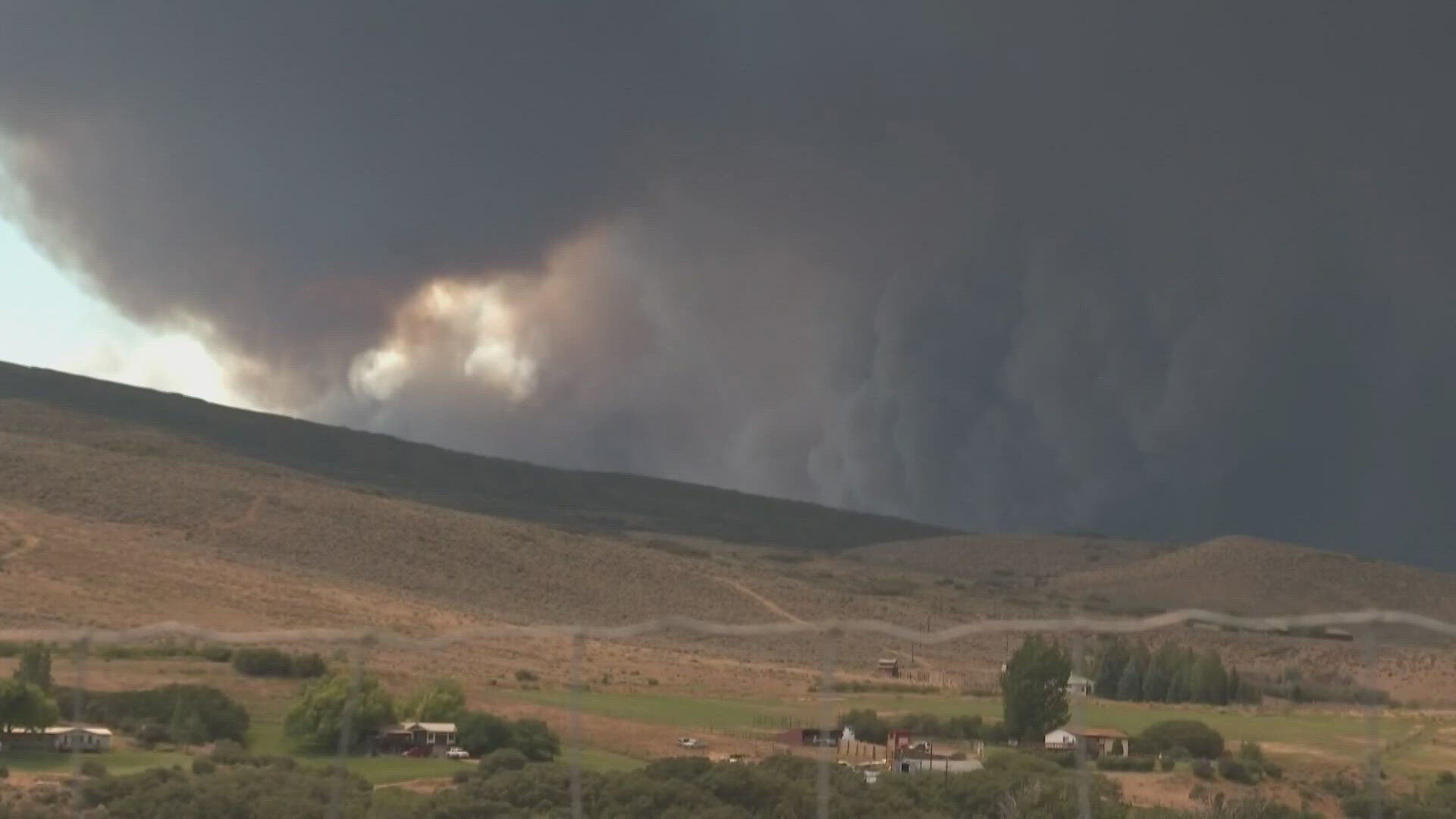 A 'harmful' algal bloom was discovered in this Kentucky lake | whas11.com