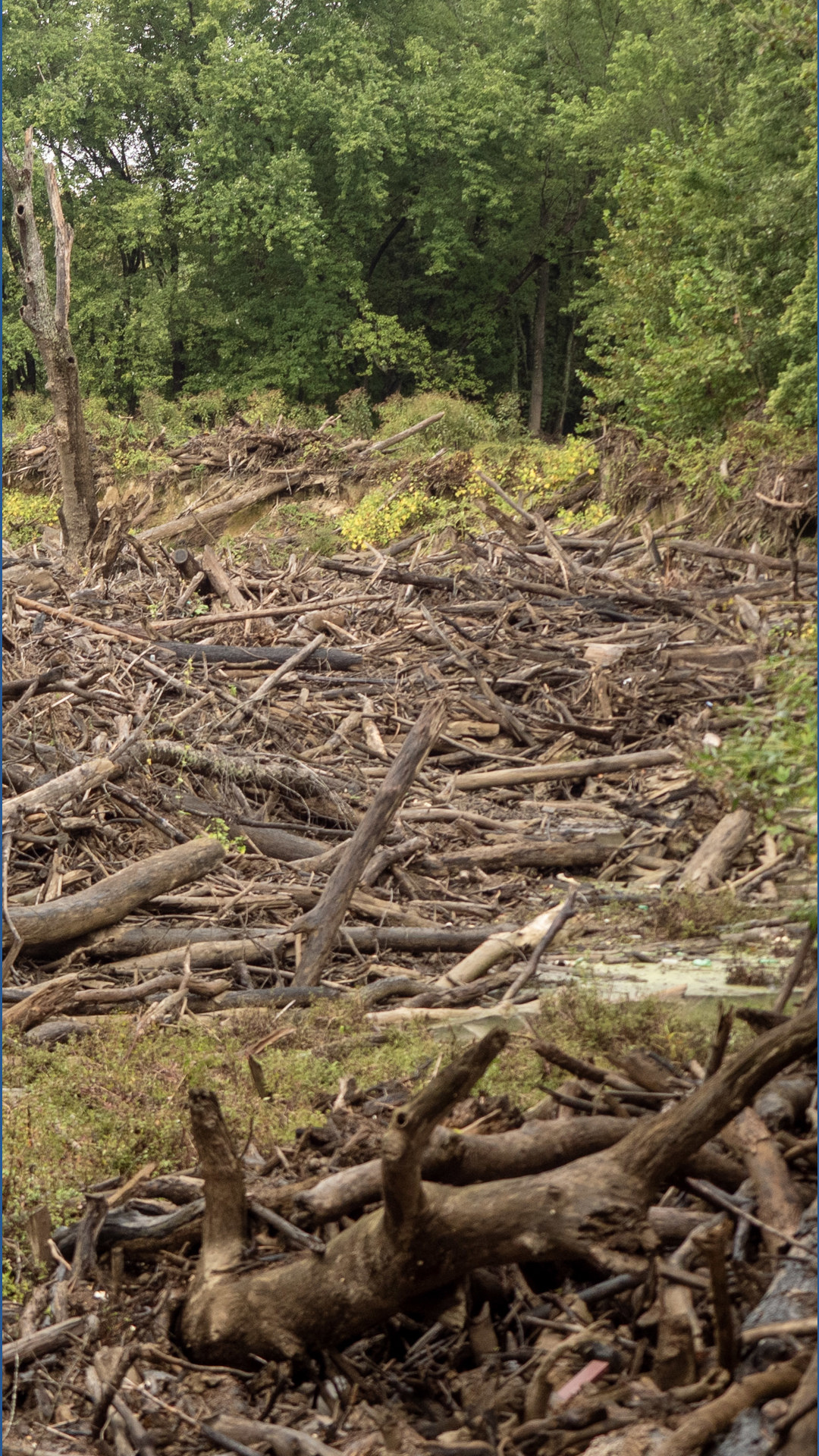 Nelson County river remains blocked with flood debris | whas11.com