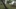 Nelson County nonprofit works to restore centuries-old cemetery ...