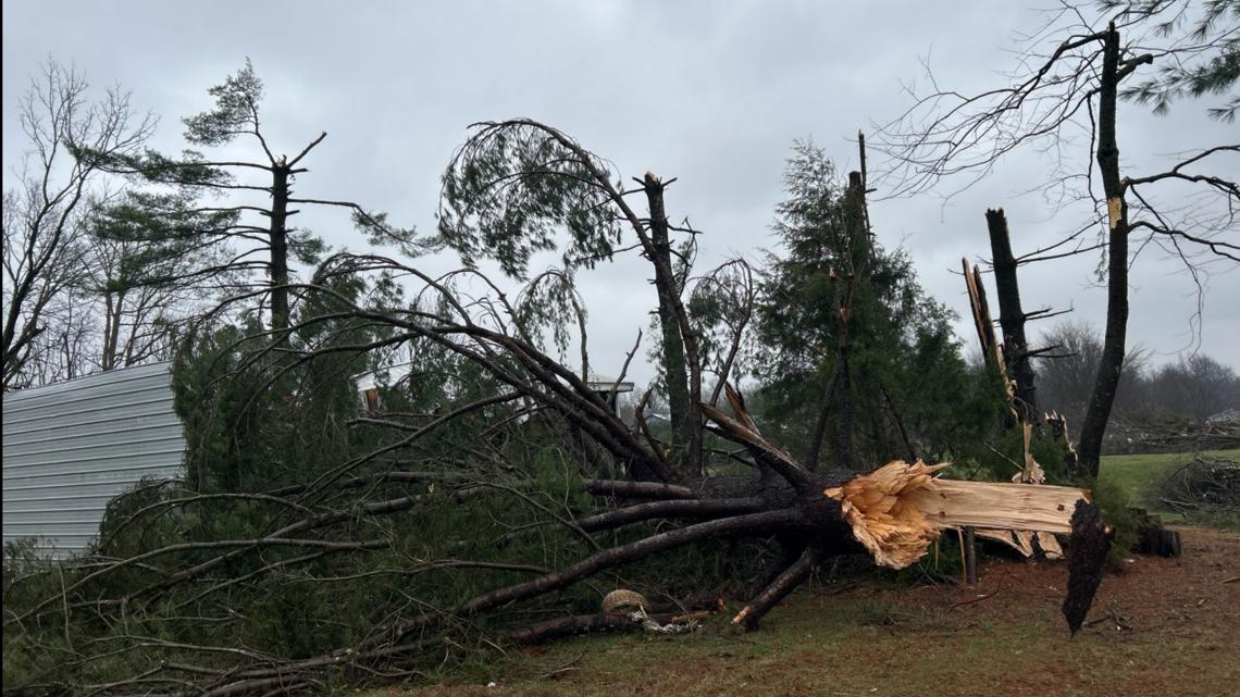 EF-1 tornado confirmed in Orange County during severe storms | whas11.com