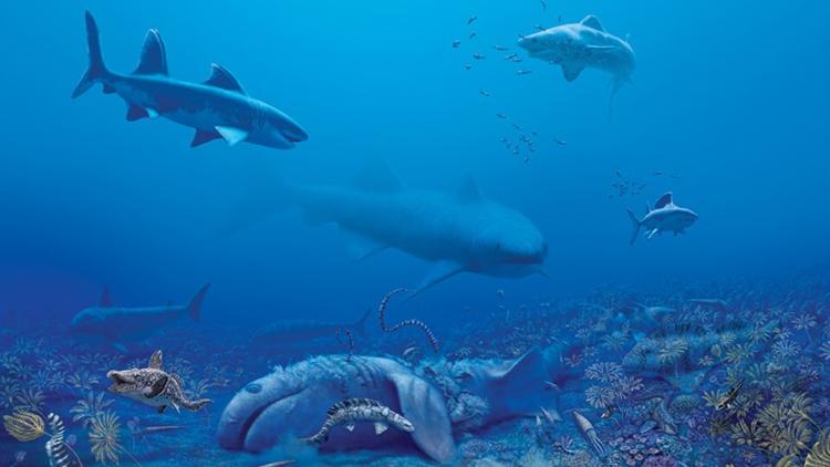 New ancient shark species discovered in Mammoth Cave National Park ...