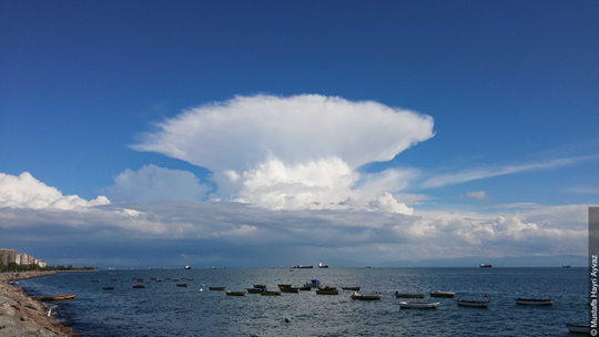 Storms: Supercells, Cumulonimbus, updraft, downdraft, anvil | whas11.com