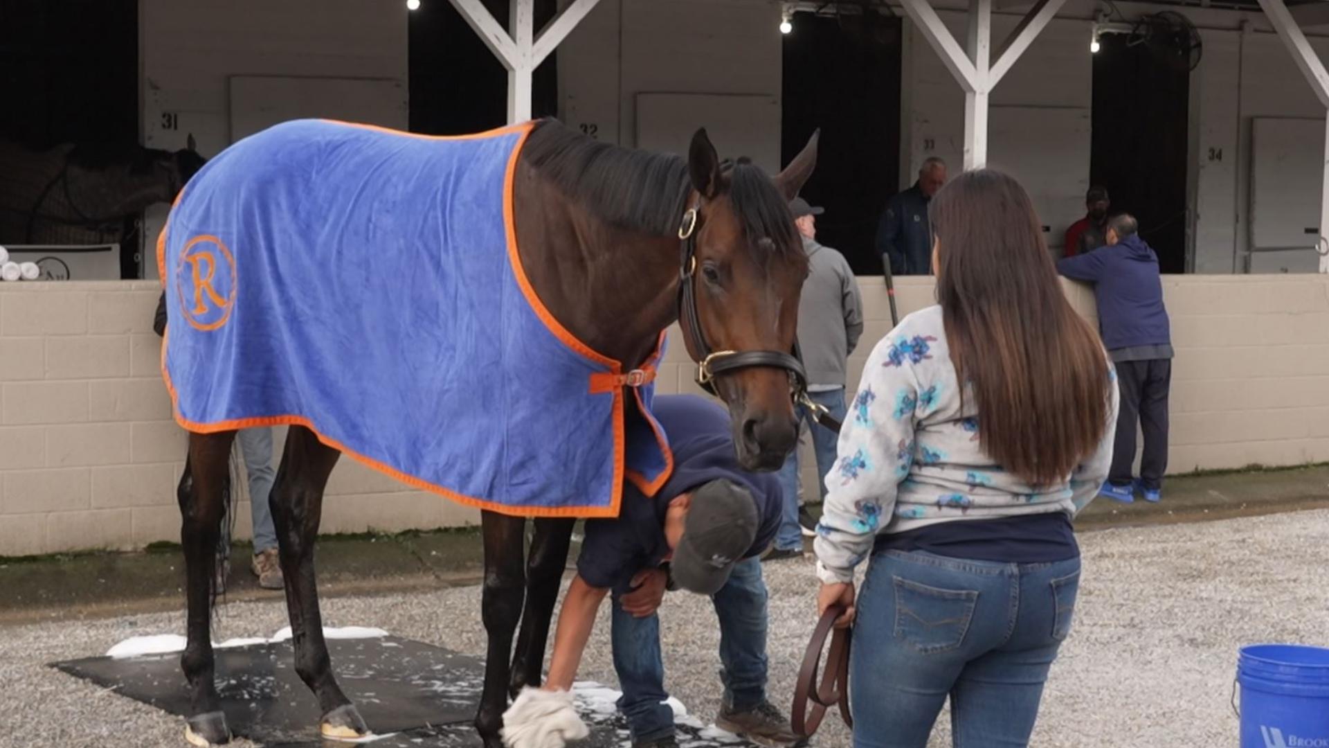 Fierceness edges Thorpedo Anna to win Travers Stakes | whas11.com
