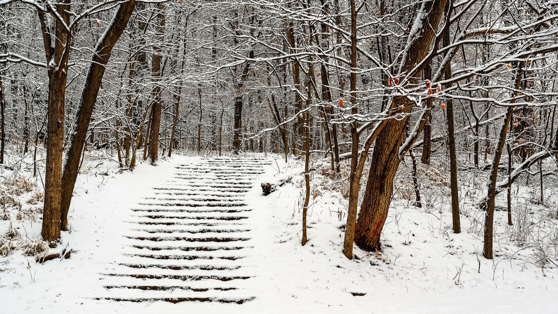 How much snow did we get in Kentucky and Indiana? | whas11.com