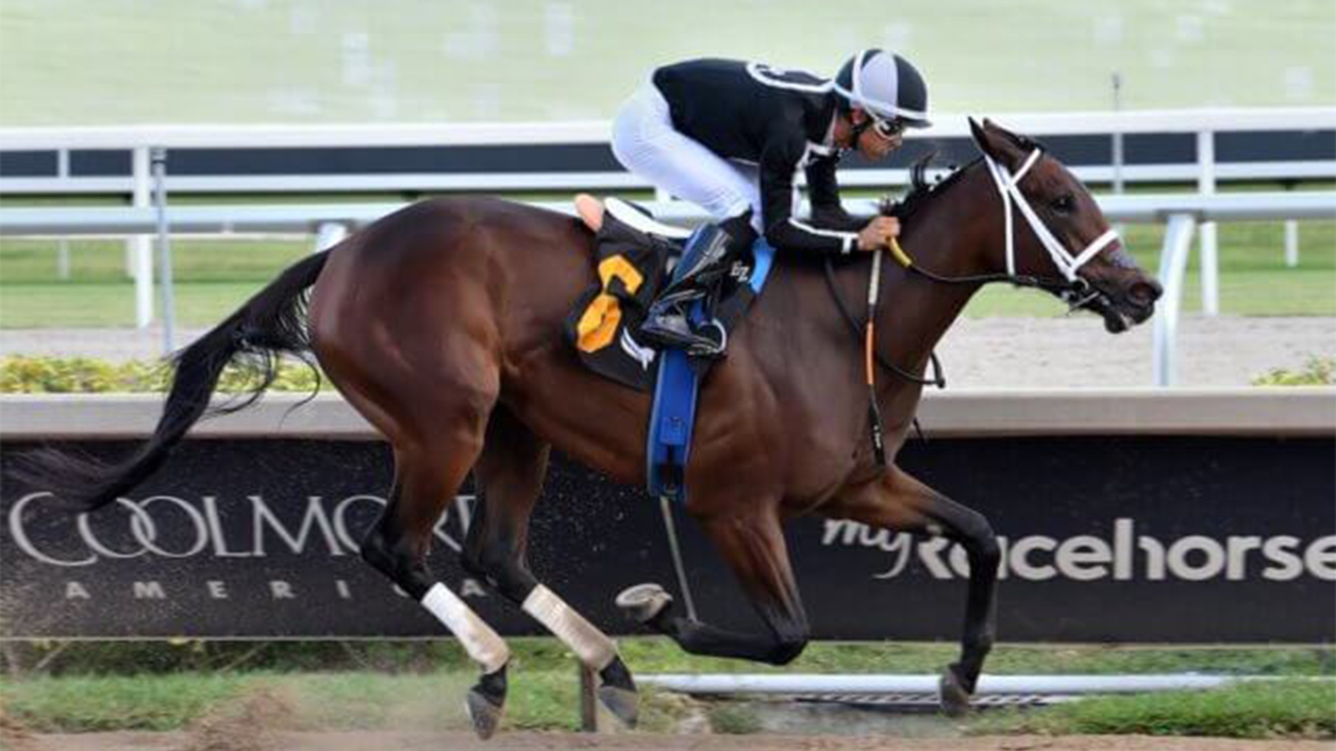 2026 Kentucky Oaks: My Miss Mo becomes second horse scratched from race ...